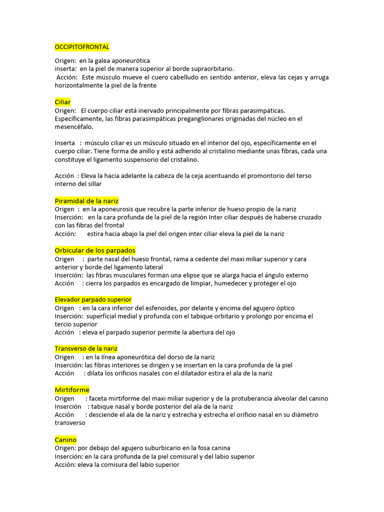 Origen e inserción del músculo occipitofrontal | PDF | Anatomía ...