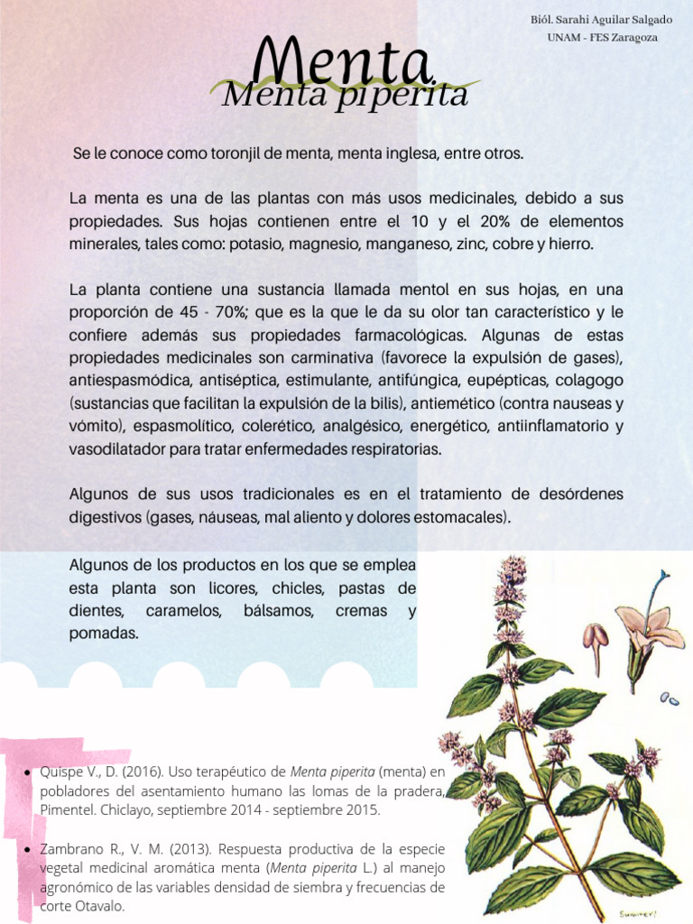 Infografía de La Menta | PDF