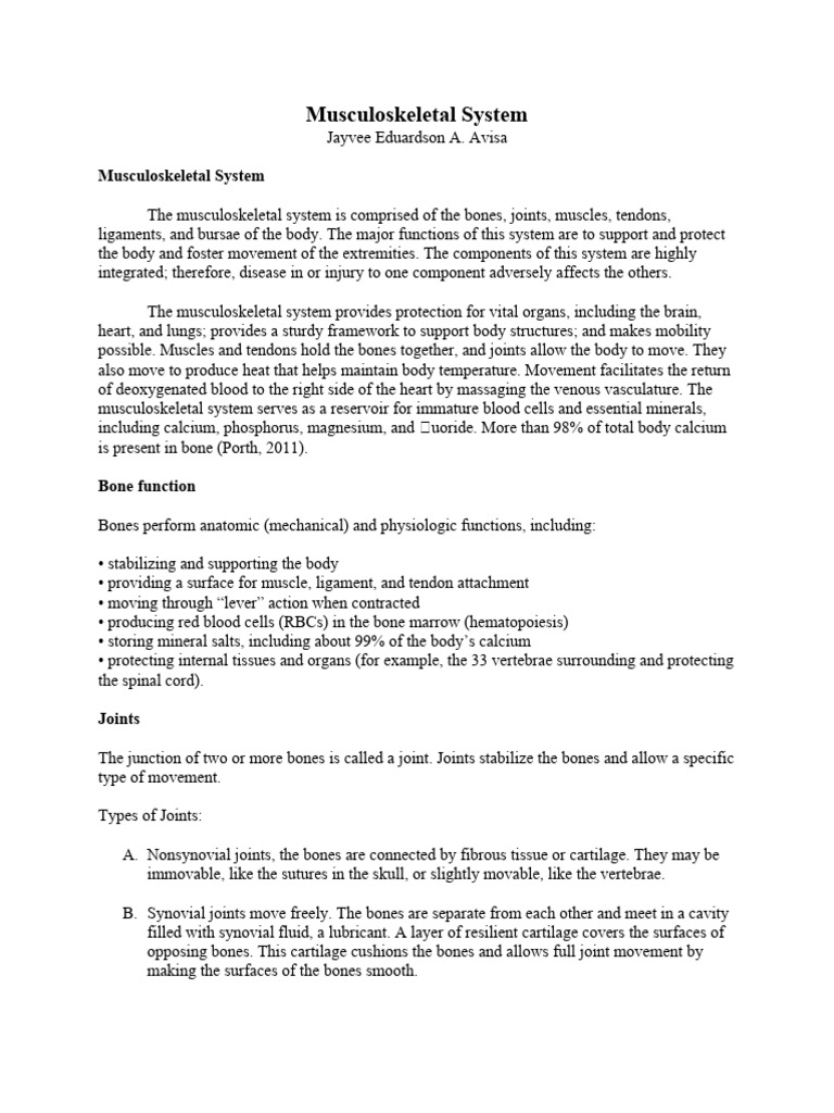 Musculoskeletal System Pdf Bone Human Musculoskeletal System
