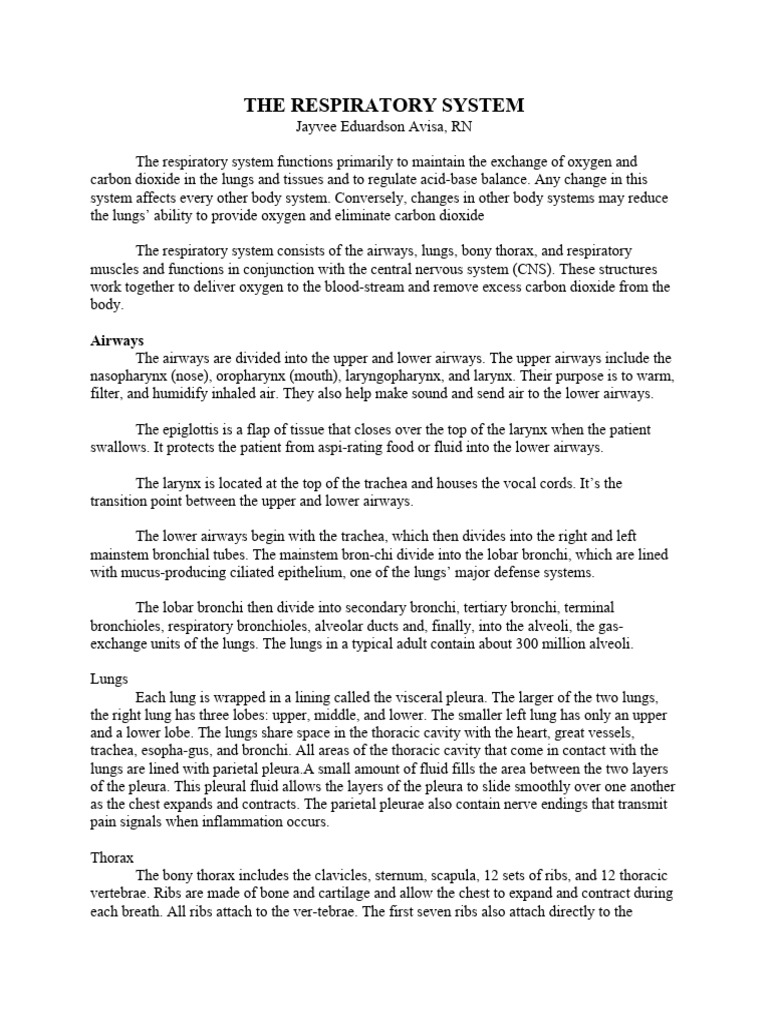 The Respiratory System | PDF | Respiratory Tract | Lung