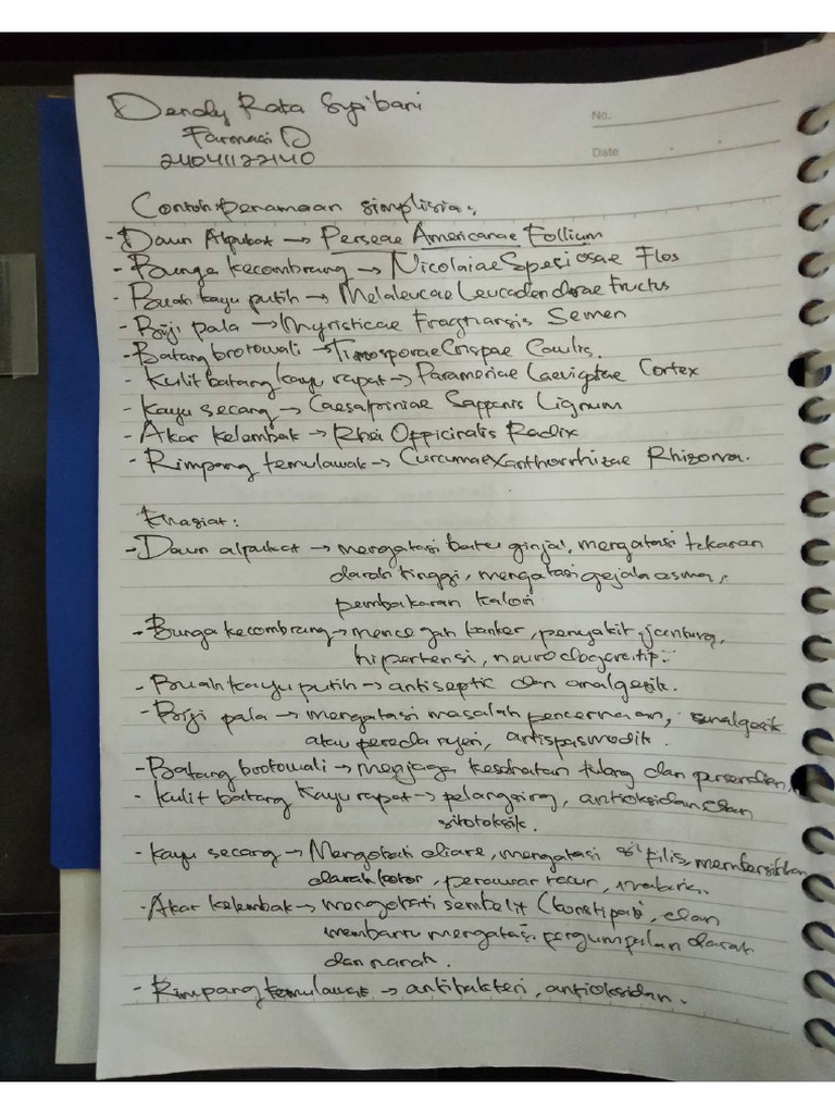 Dendy Raka S - 24041122140 | PDF