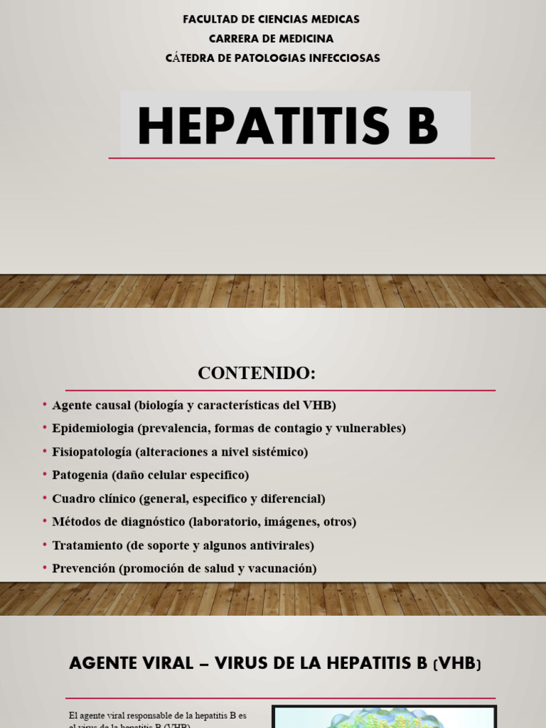 Hepatitis b | PDF | Hepatitis B | Hepatitis