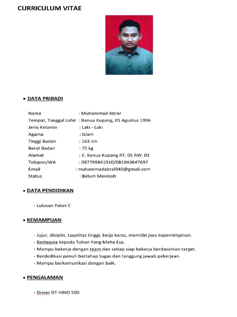 CV - Muhammad Abrar | PDF