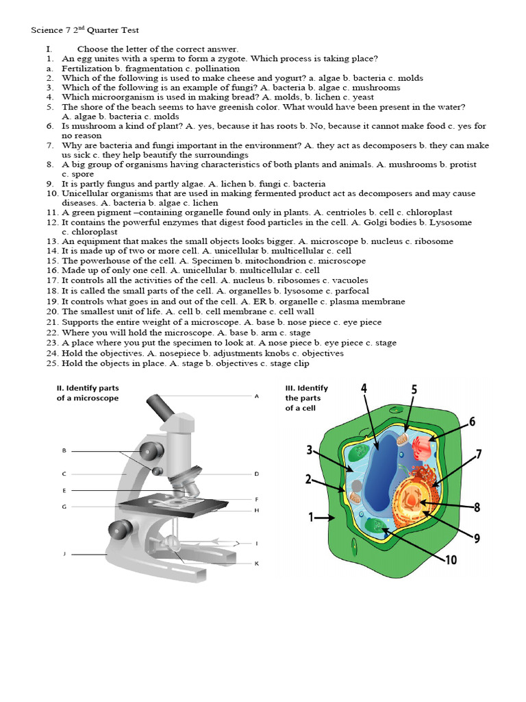 Science 7 2nd Quarter Test | PDF | Cell (Biology) | Microorganism