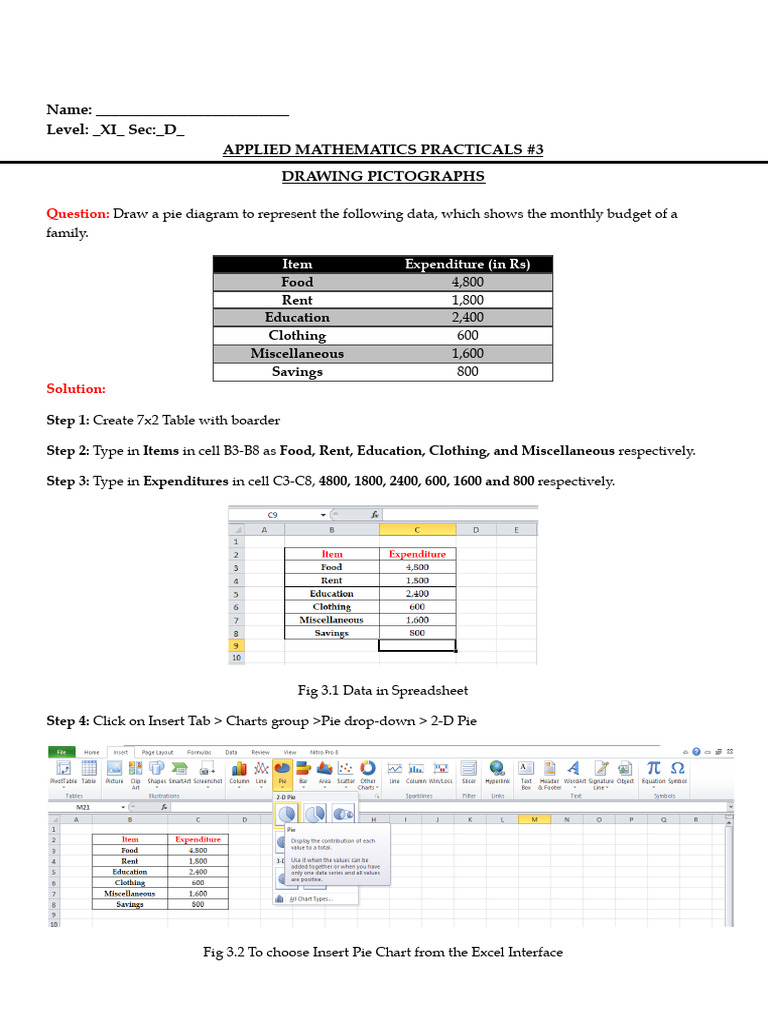 Practical 3 - Class XI Applied Maths | PDF | Spreadsheet | Pie Chart
