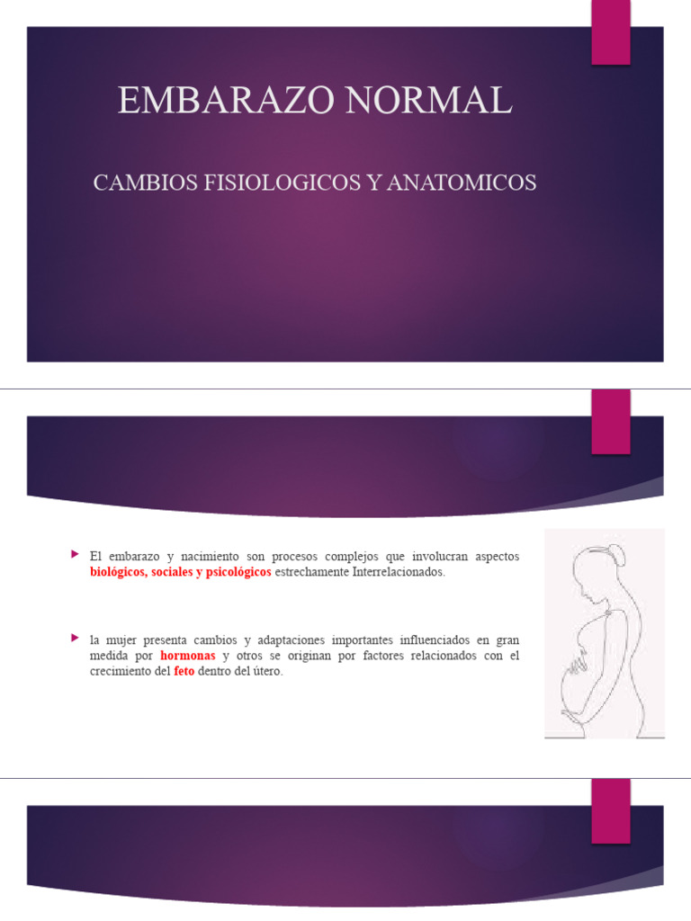 Cambios en embarazo normal | PDF | El embarazo | Sistema respiratorio