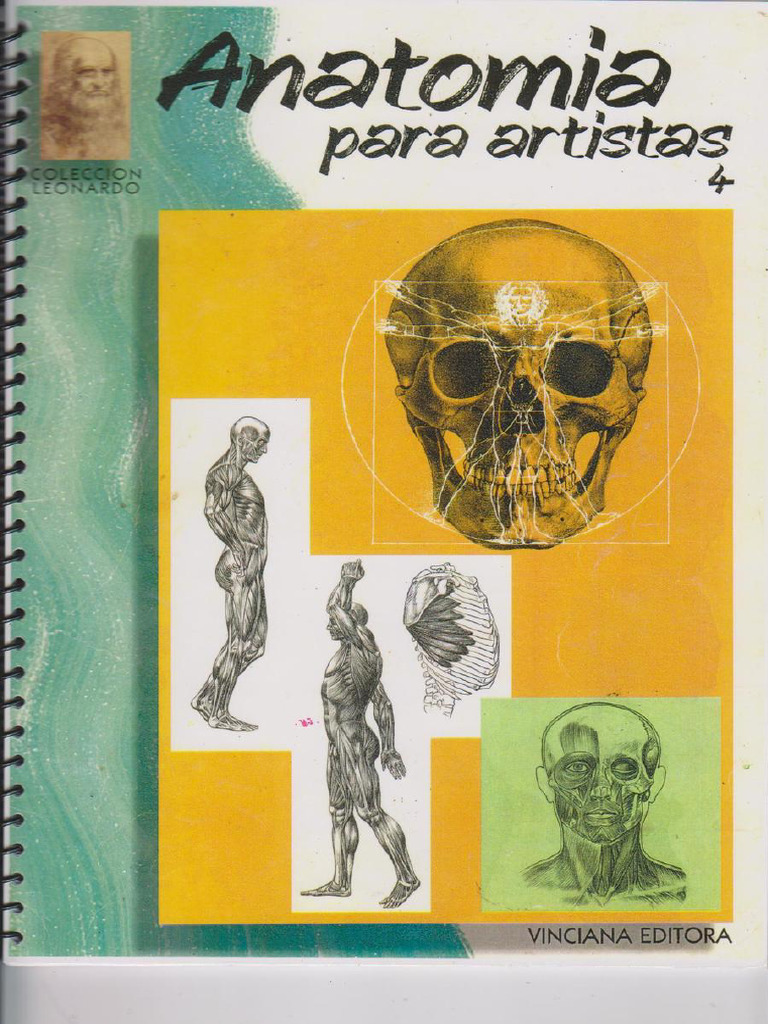 Coleccion Leonardo Tomo 4 Anatomia Artistica PDF Free | PDF