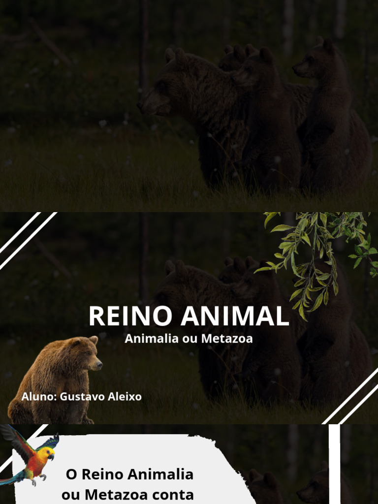 Reino Animal | PDF | Biologia | Taxa