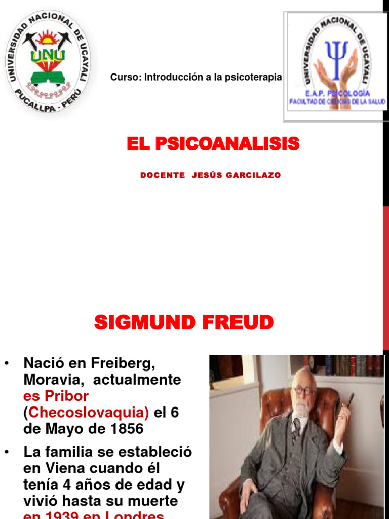 PSICOANALISIS | Descargar gratis PDF | Psicoanálisis | Mente inconsciente