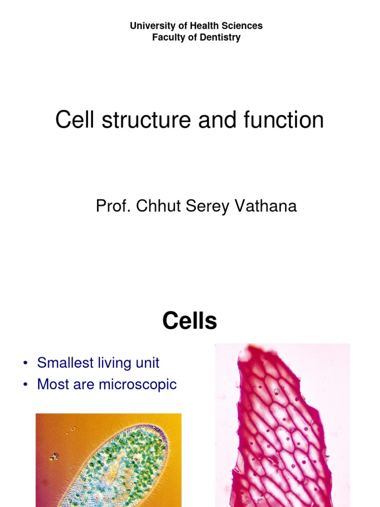 CELL | PDF | Cell Nucleus | Cell (Biology)