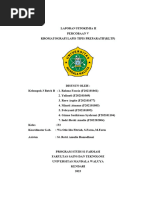 Laporan Praktikum Analisis Instrumen HPLC | PDF