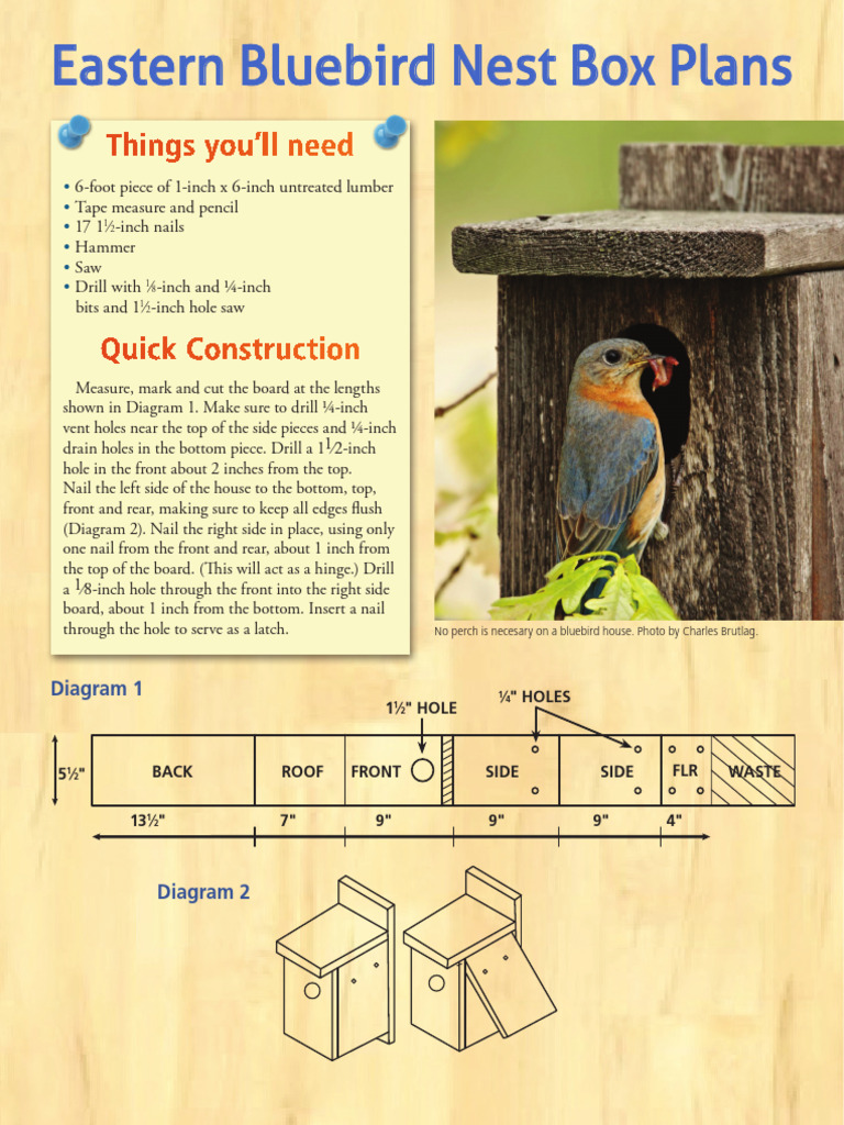4CP Bluebird Nest Box Instructions | PDF