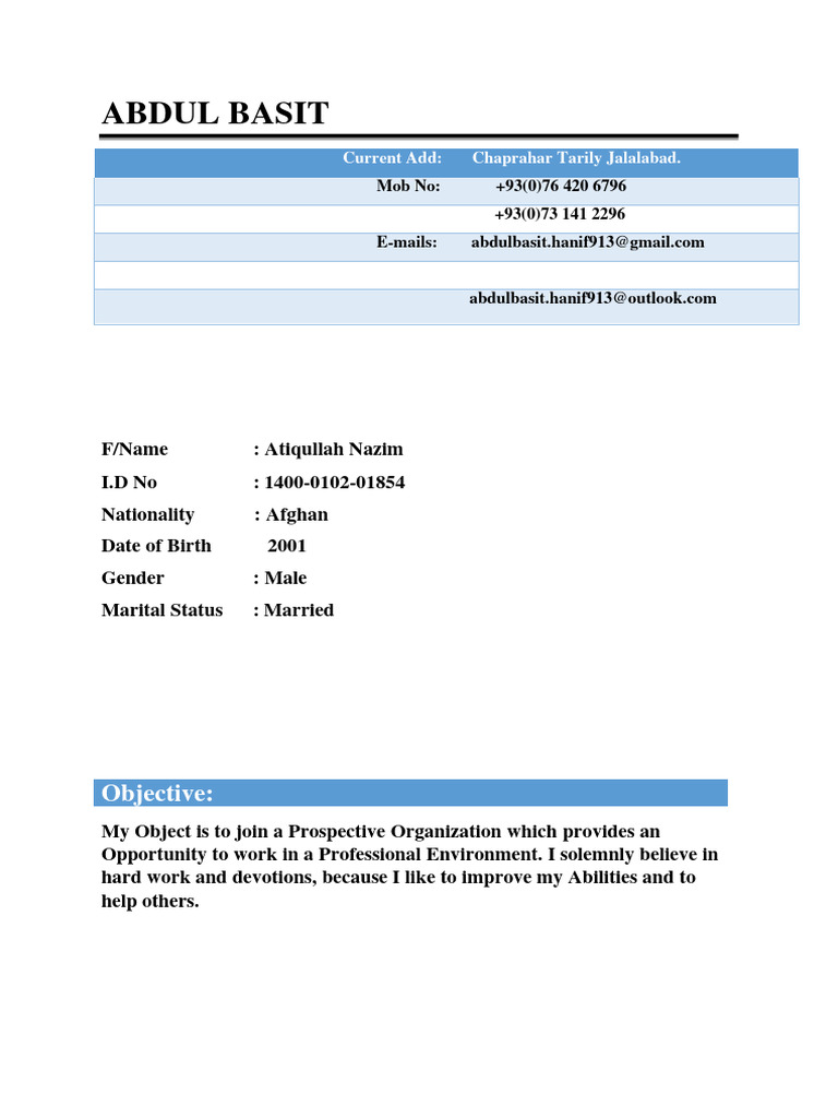 Abdul Basit CV Romania | PDF | Computing