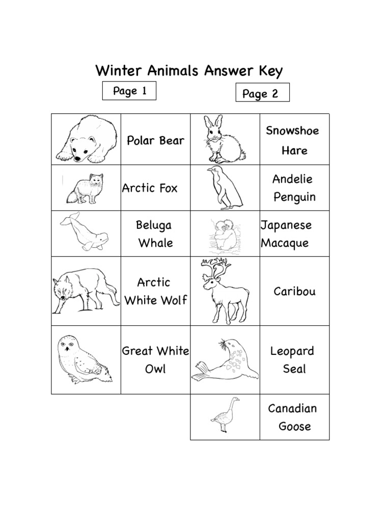 Winter Animals-Treble Clef Notes Answer Key | PDF