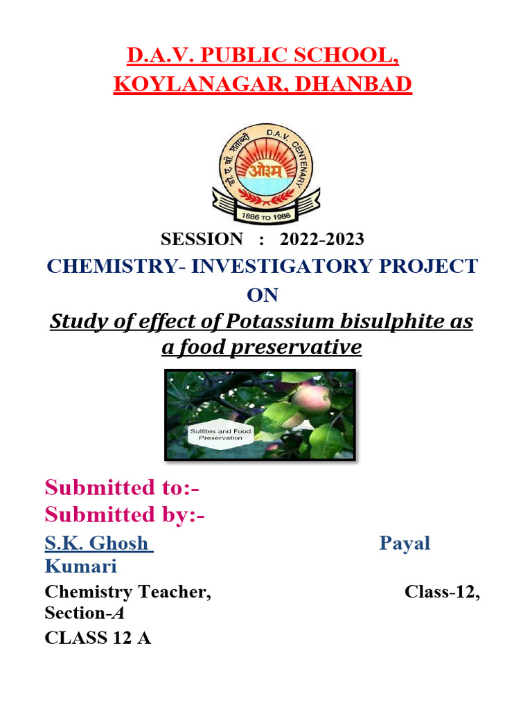 Project Dav Potassium | PDF