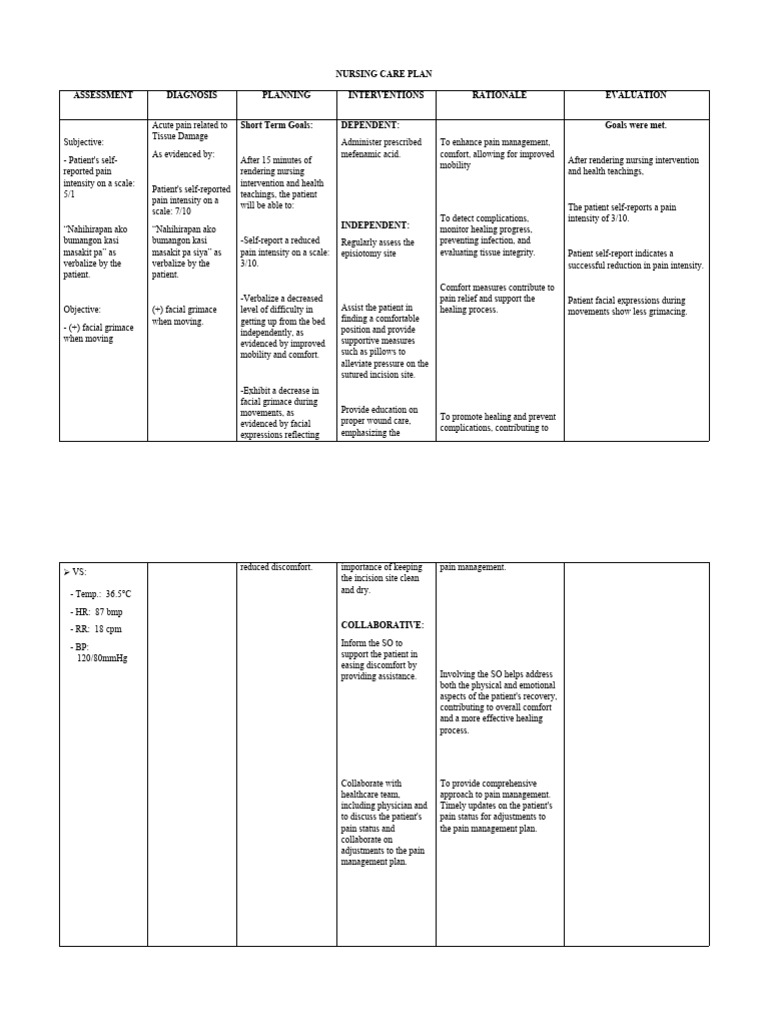 Nursing Care Plans | PDF