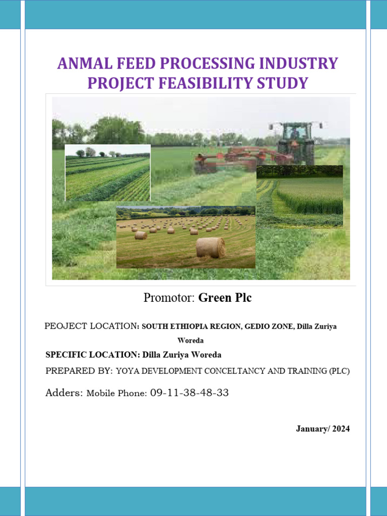 Green PLC Animal Feed Farm and Processing | PDF | Feasibility Study | Taxes