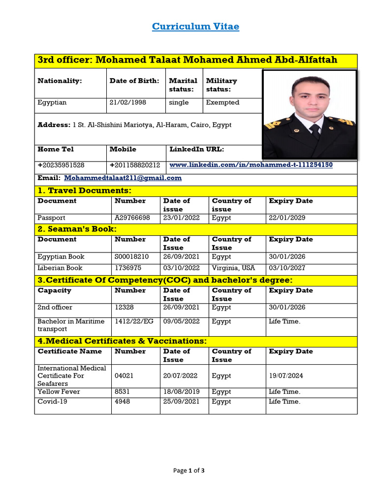 Curriculum Vitae-Mohamed Talaat | PDF | Oil Tanker | Watercraft