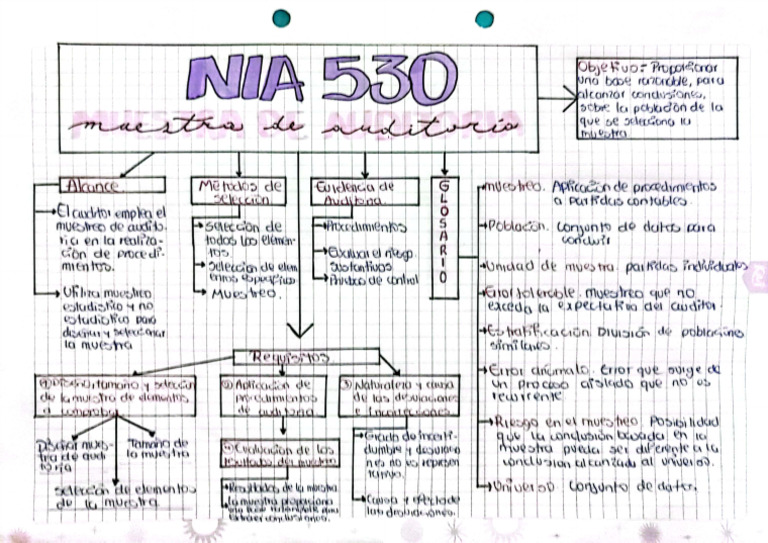Nia 530 | PDF
