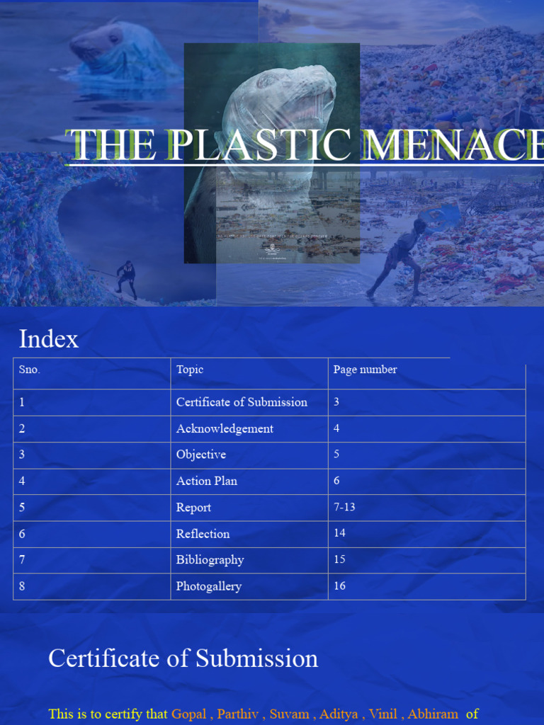 English ALS Project | Download Free PDF | Plastic | Waste