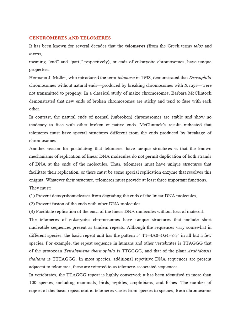 Centromeres and Telomeres | PDF | Telomere | Senescence