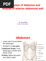Umbilicus Anatomy and Physiology | PDF | Abdomen | Vein