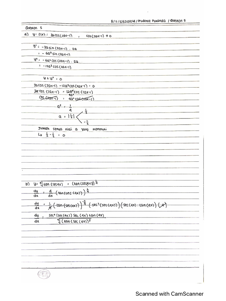Calculus 1 Excercise 5 | PDF