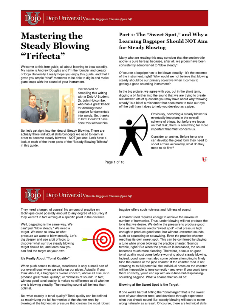 Mastering The Steady Blowing Trifecta PDF Guide | PDF | Pressure Measurement
