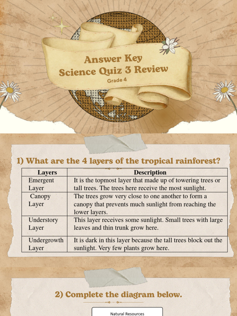 Grade 4 Science Quiz Review | PDF | Science & Mathematics