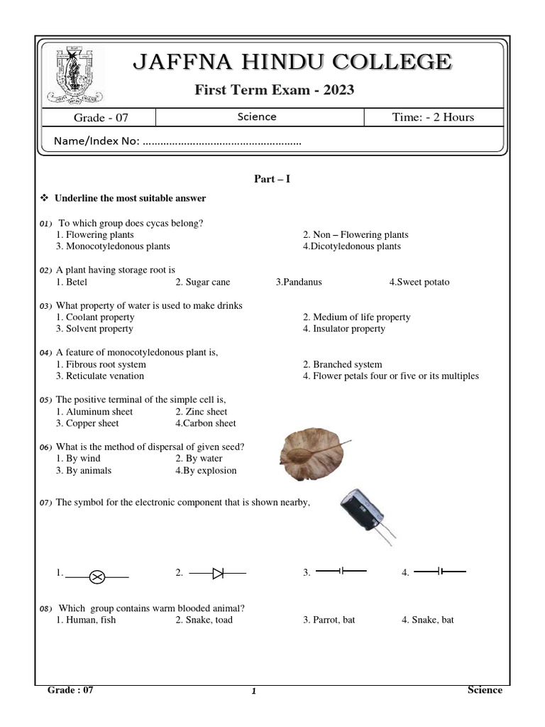 Grade 7 Science First Term Exam 2023 | PDF | Electricity | Chemistry