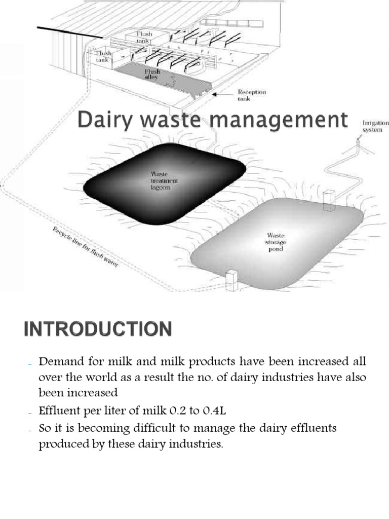 Dairy Waste Management | PDF | Milk | Dairy