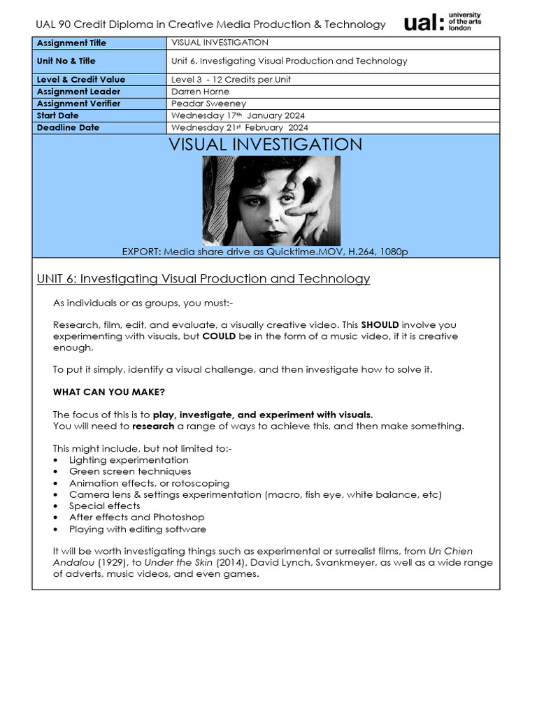 E Visual Brief | PDF