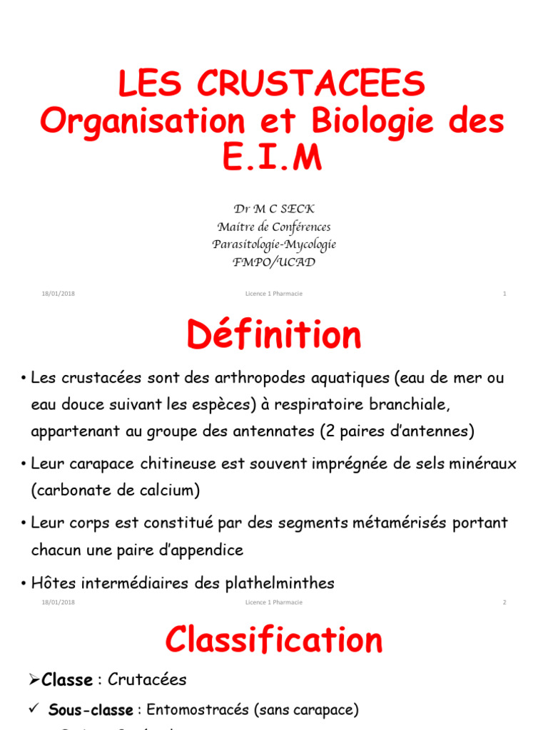Classification et Biologie des Crustacés | PDF | Crustacé | Arthropodes