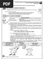 Grade 8 - Photosynthesis and Respiration (Notes) | PDF | Photosynthesis ...