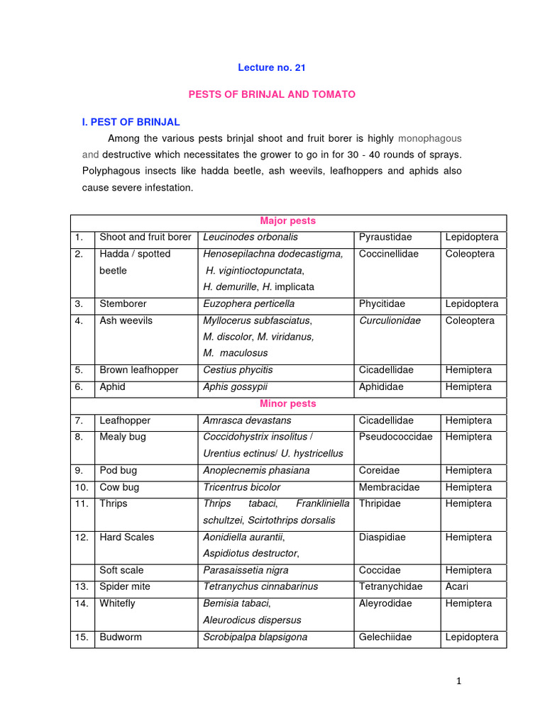Brinjal Pest Management Overview | PDF | Pupa | Pest (Organism)