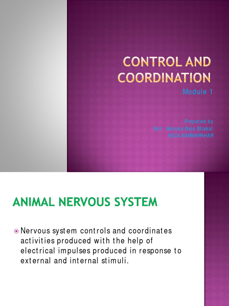 Control and Coordination, PPT, Module-1.3 | Download Free PDF | Neuron ...