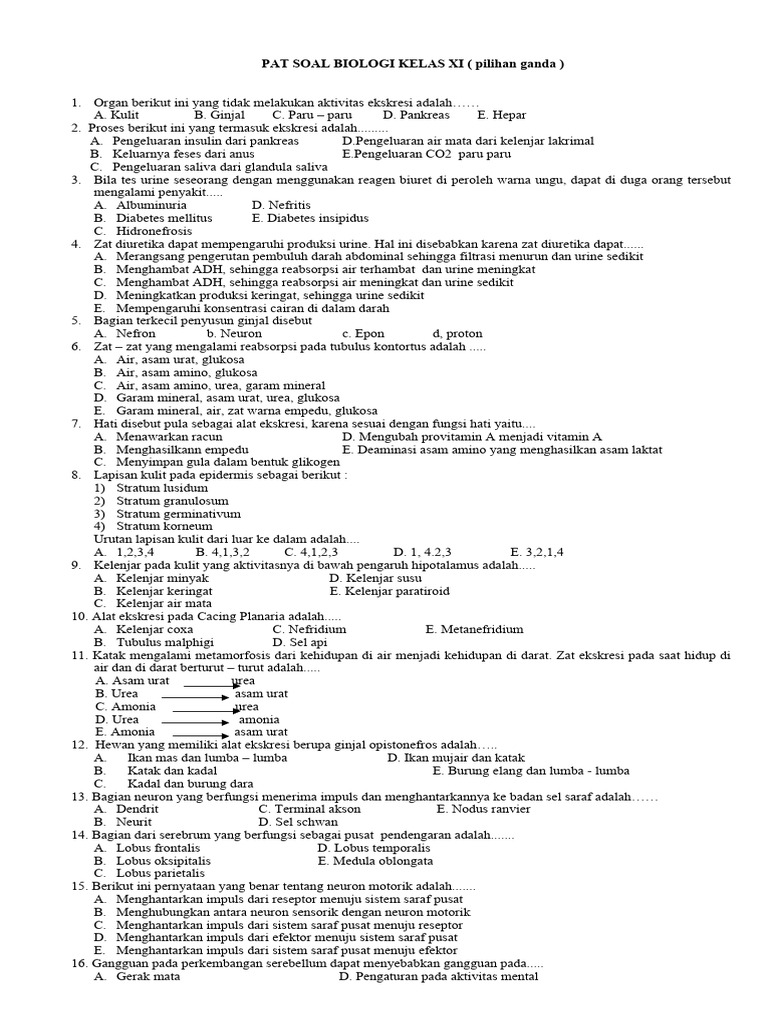 Soal Bio Kls Xii PAT Konsep Xi 2024 | PDF