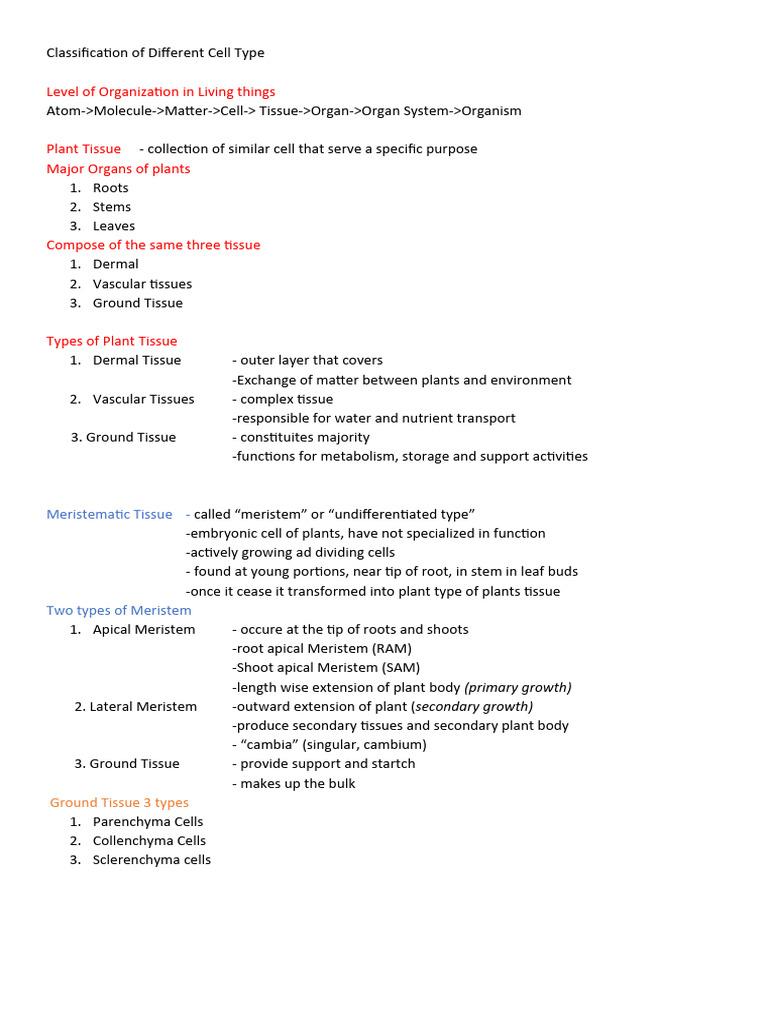 Biology Lesson 4 | PDF | Tissue (Biology) | Epithelium