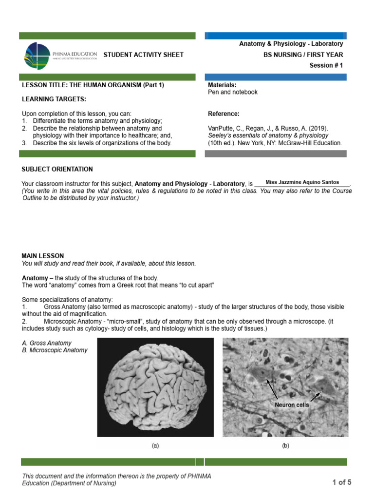 Anatomy and Physiology Lab 1 | PDF | Heart | Anatomy