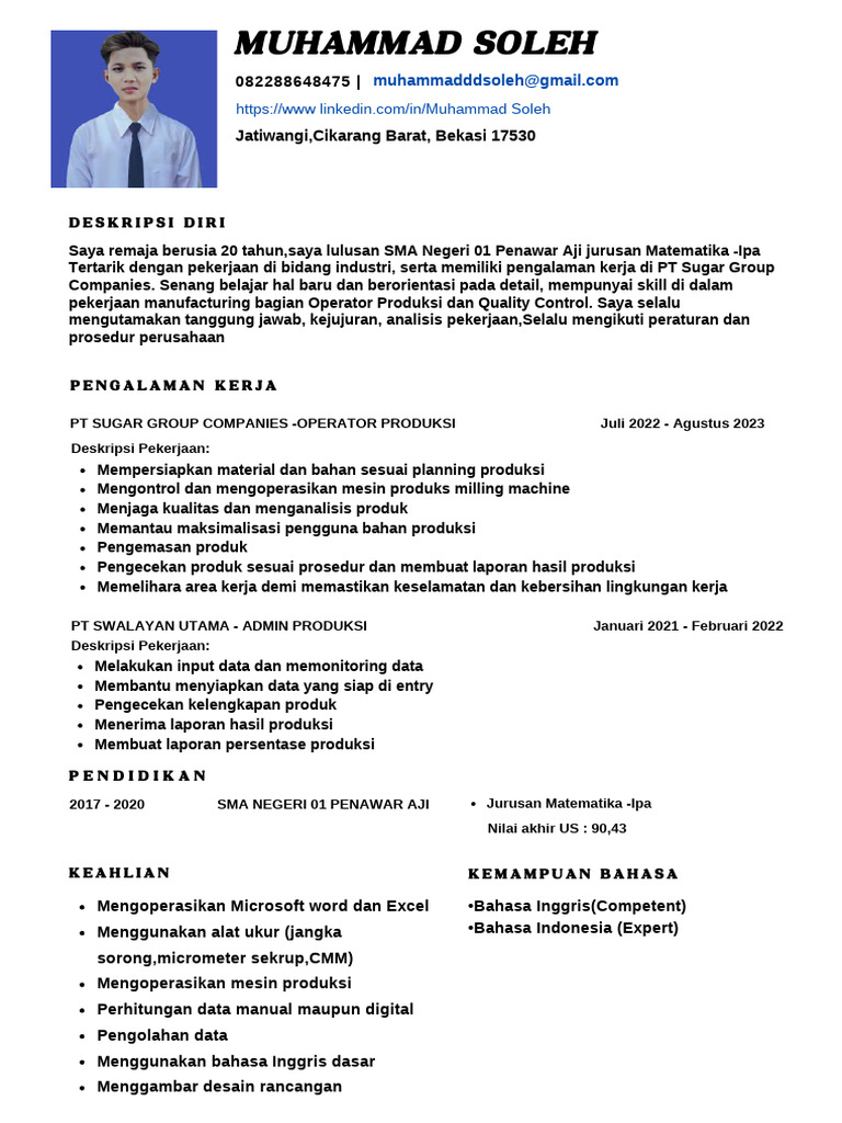 CV Muhammad Soleh MD | PDF