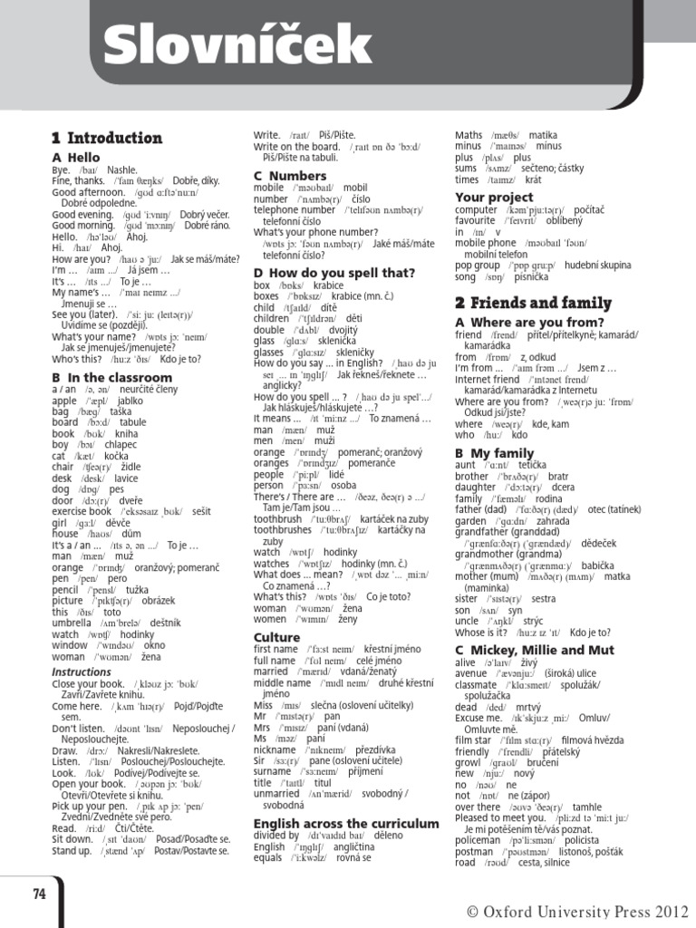 Project1 Vocabulary | PDF
