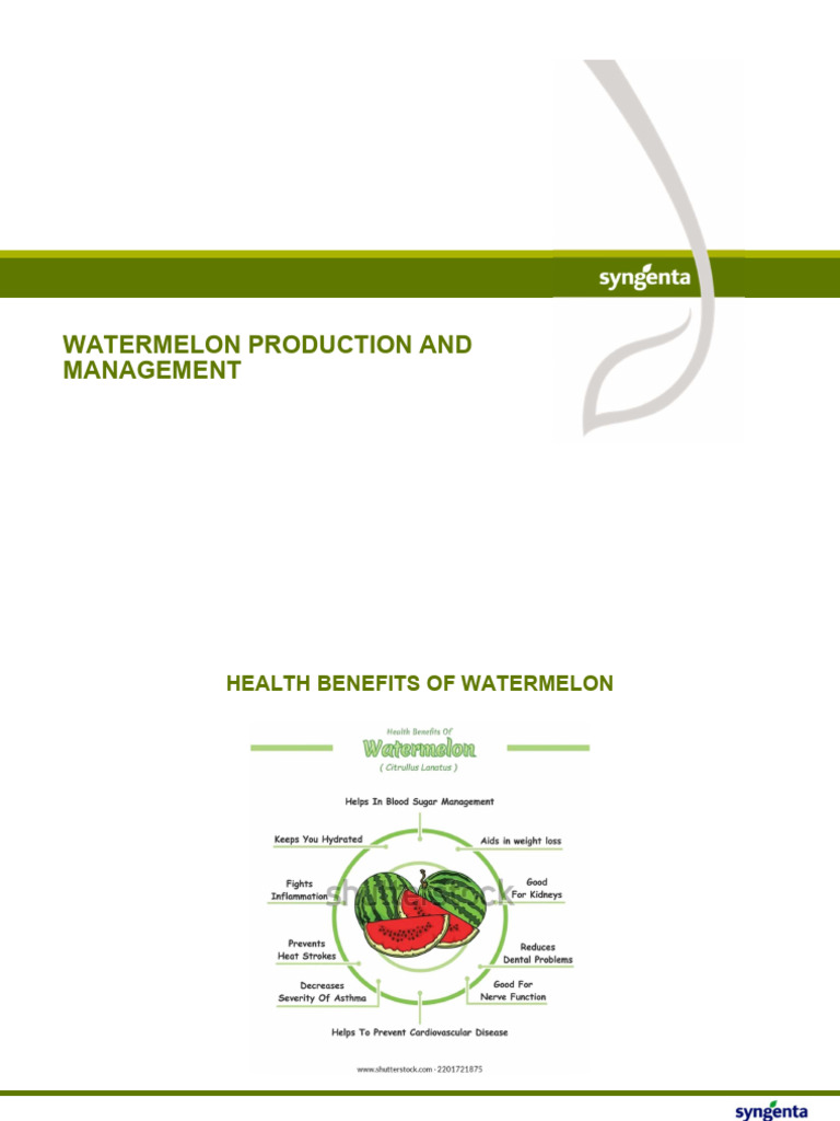 Watermelon Production Training | PDF | Watermelon | Soil