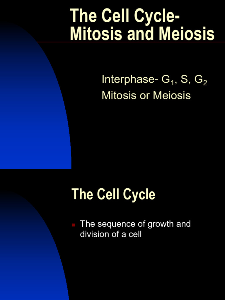 AP Cell Cycle Mitosis and Meiosis | PDF | Meiosis | Mitosis