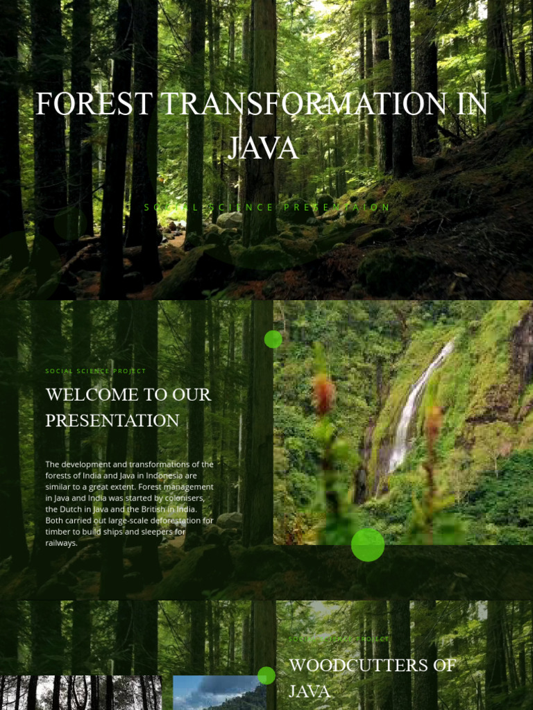 FTi J | PDF | Forests | Forestry