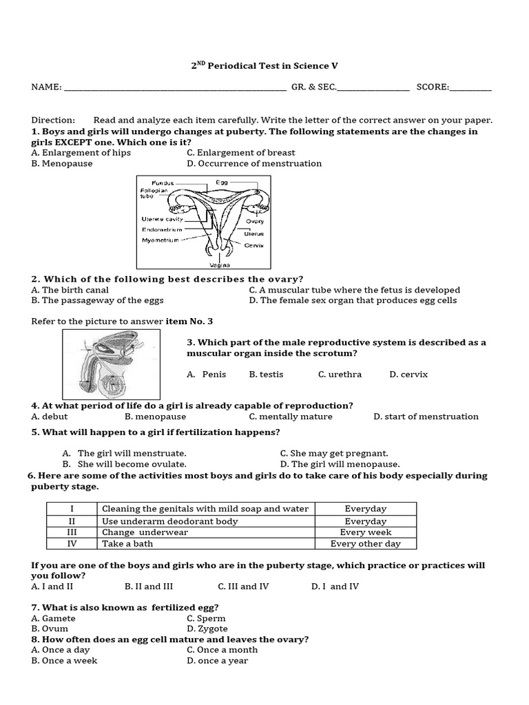 PT - Science 5 - Q2 | PDF | Flowers | Pollination