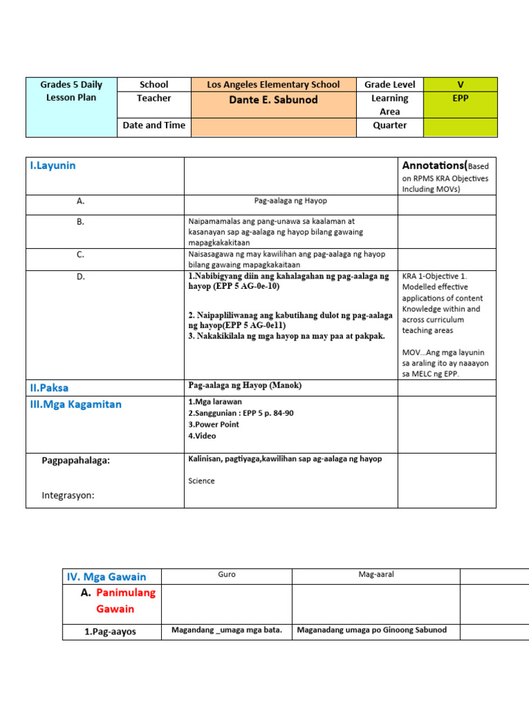 Grades 5 Daily Lesson Plan New | PDF