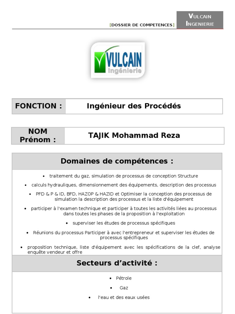 Dossier de Compétences d'Ingénieur des Procédés | PDF | Énergie et ...