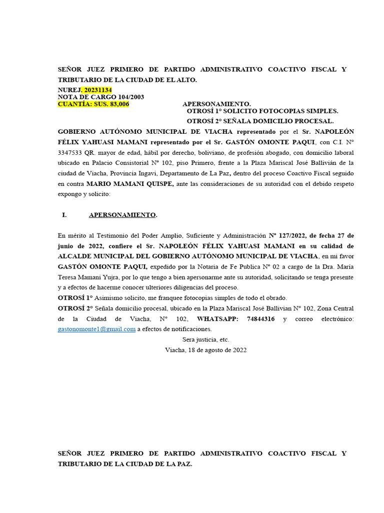 GAMV - MARIO MAMANI QUISPE Formato de Memorial | PDF | Gobierno | Justicia