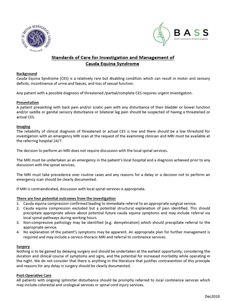 Cauda Equina Syndrome Starndards SBNS BASS 2 | PDF | Clinical Medicine ...