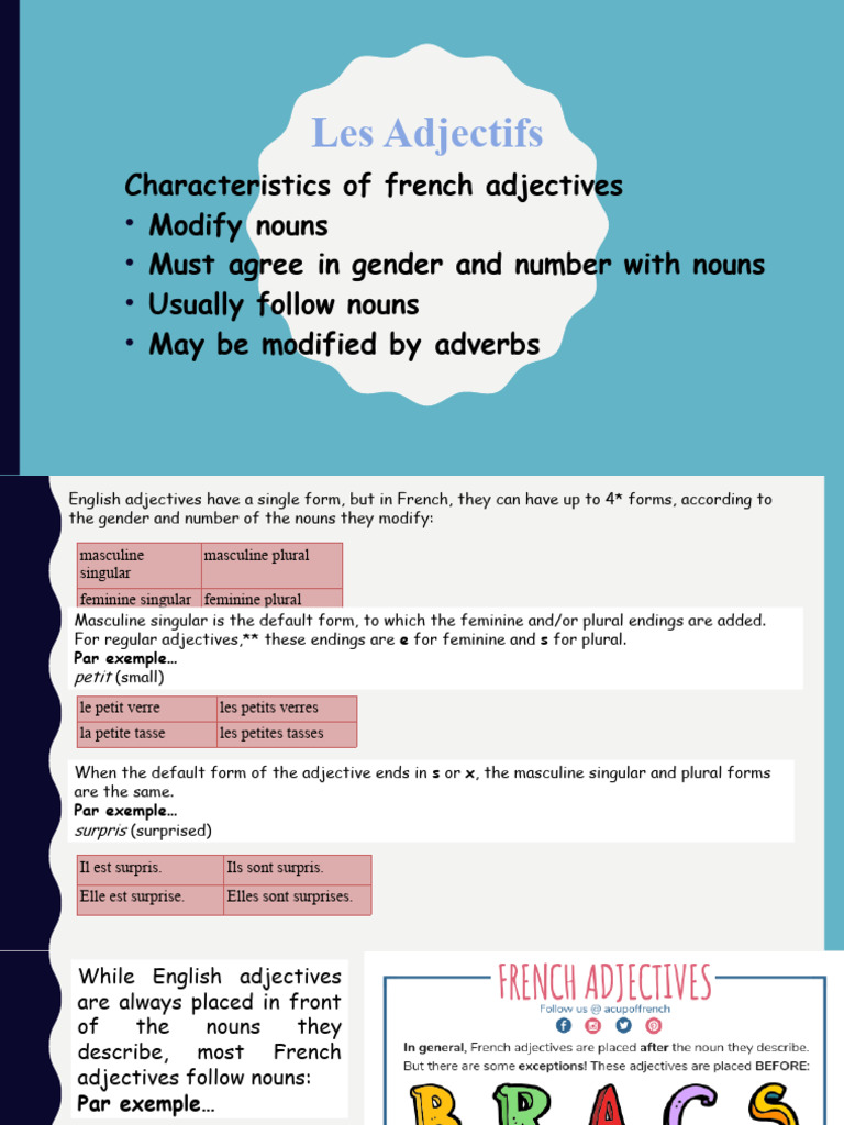 Les Adjectifs | PDF | Grammatical Gender | Plural